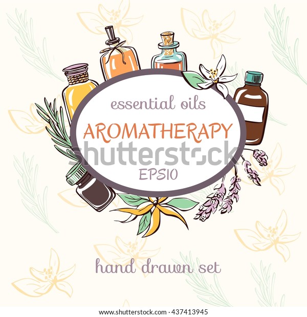 Vector Illustration Essential Oil Bottles Aromatic Stock Vector ...