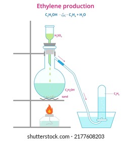 Vector Illustration Ethylene Release Ethelene Production Stock Vector ...