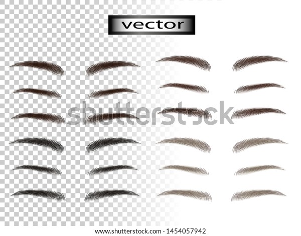 Vector Illustration Eyebrow Natural Set Isolated Stock Vector (Royalty ...