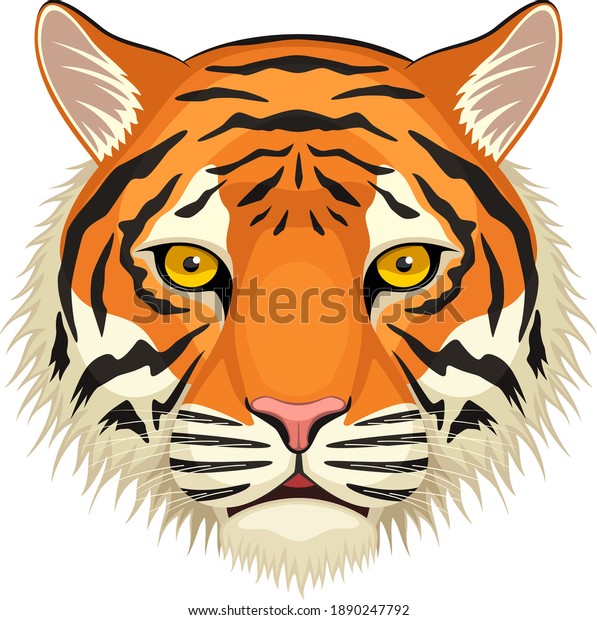 Vector Illustration Face Head Bengal Tiger Stock Vector (Royalty Free ...