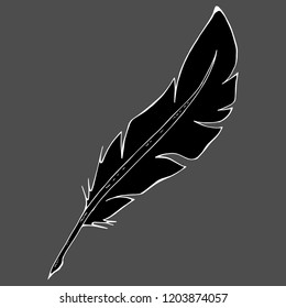 Feather Pen Vector Illustration Feather Calligraphy Stock Vector ...