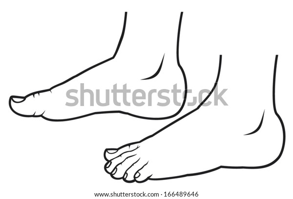 Vector Illustration Feet Standing 库存矢量图（免版税）166489646