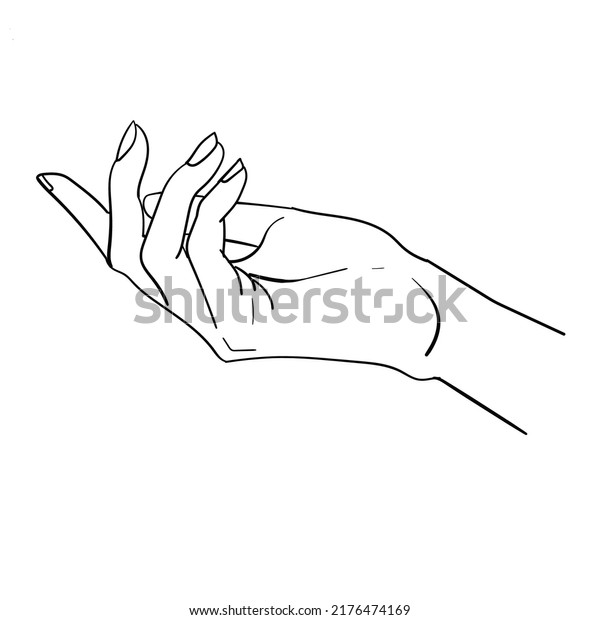 Vector Illustration Female Hand Pose Various: เวกเตอร์สต็อก (ปลอดค่า ...