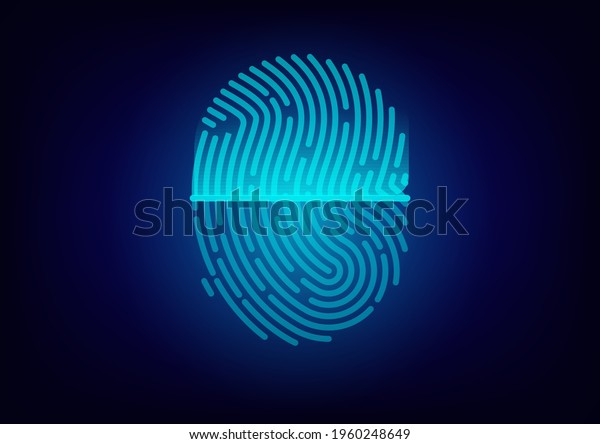 Vector Illustration Fingerprint Scanning Used Advertisement Stock ...