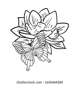 Vector Illustration Flower Butterfly Line Drawing Stock Vector (Royalty ...