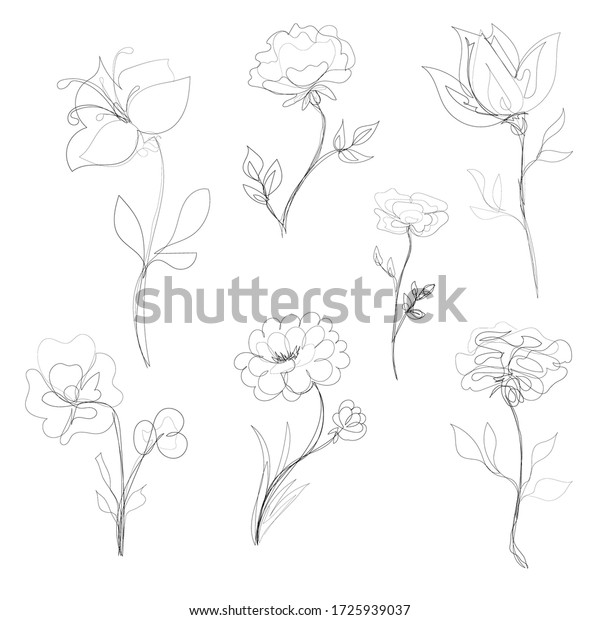 Vector Illustration Flowers Outline Single Line Stock Vector (Royalty ...