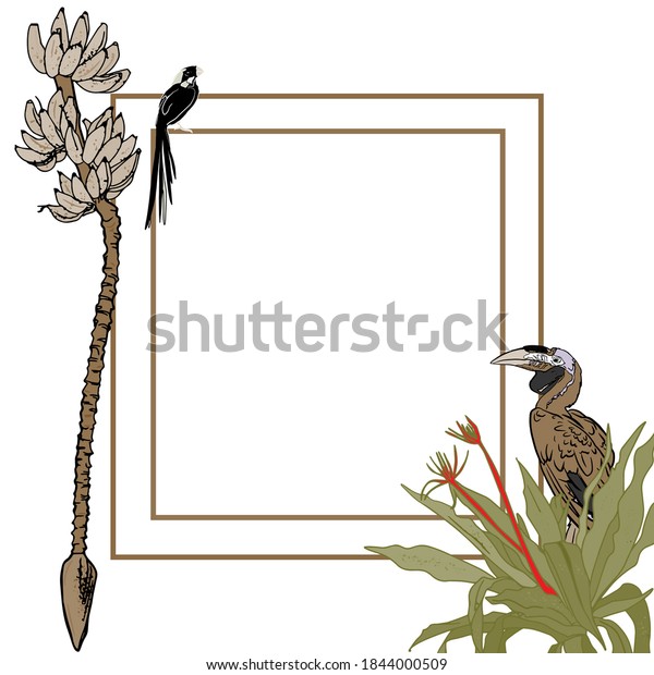 Vector Illustration Frame Paradise Tropical Birds Stock Vector (Royalty ...