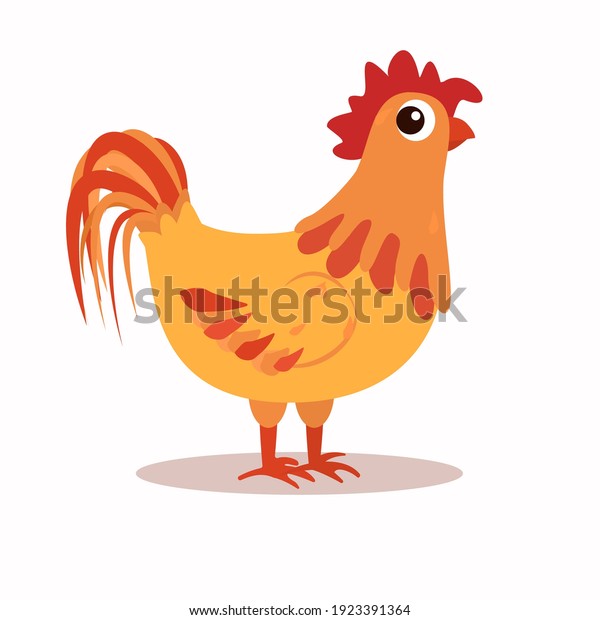 Vector Illustration Funny Rooster Frightened Look Stock Vector (Royalty ...