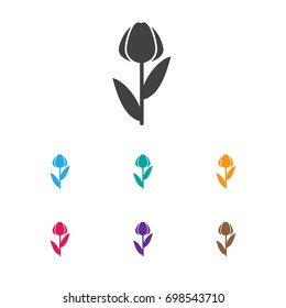 Vector Illustration Gardening Symbol On Daphne Stock Vector (Royalty ...