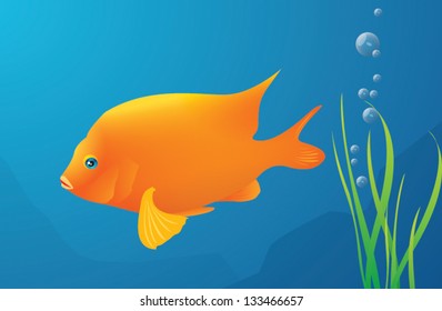 427 imágenes de Garibaldi fish - Imágenes, fotos y vectores de stock ...