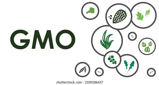 Vector Illustration Genetically Modified Plants Gmo Stock Vector ...
