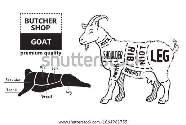 Vector Illustration Goat Cuts Diagram Chart Stock Vector (Royalty Free ...