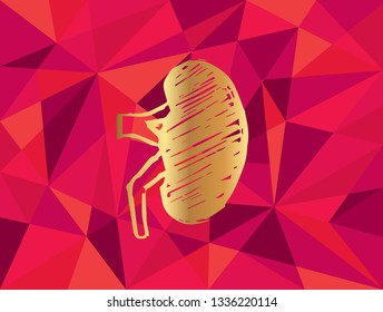 1,061 Gold Kidney Images, Stock Photos & Vectors | Shutterstock