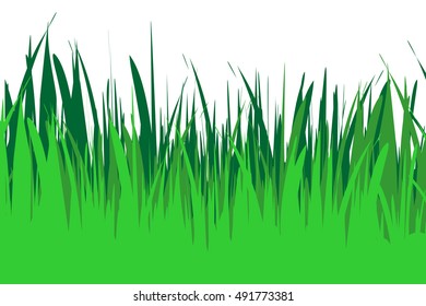 Seamless Vector Border Green Grass Isolated Stock Vector (Royalty Free ...