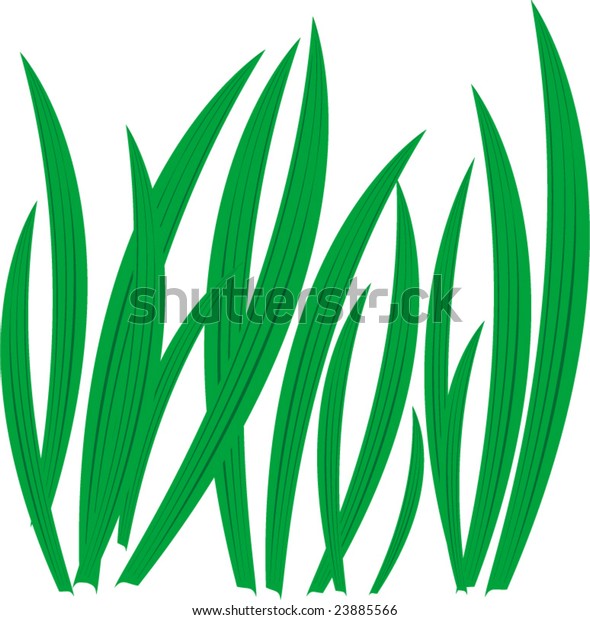 Vector Illustration Green Grass Stock Vector Royalty Free 23885566 Shutterstock