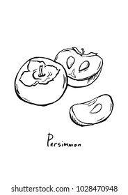 Vector Illustration Hand Drawing Persimmon Line Stock Vector (Royalty ...