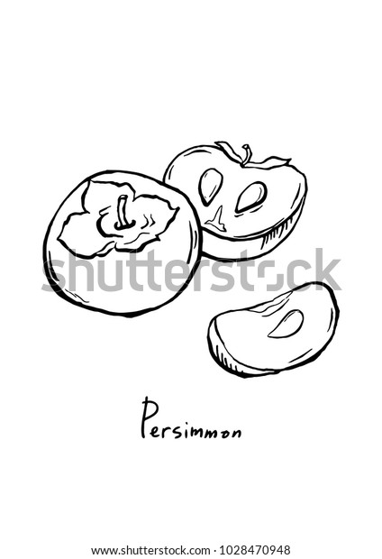 Vector Illustration Hand Drawing Persimmon Line Stock Vector (Royalty ...