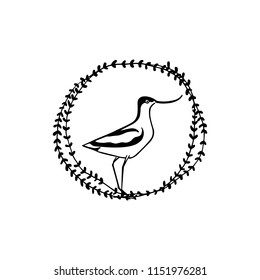 Vector Illustration Hand Drawn Cute Sandpiper Stock Vector (Royalty ...