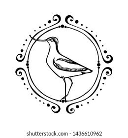 Vector Illustration Hand Drawn Cute Sandpiper Stock Vector (Royalty ...