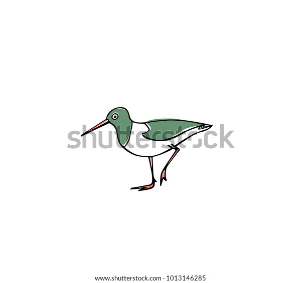 Vector Illustration Hand Drawn Cute Sandpiper Stock Vector (Royalty ...