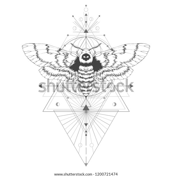 Vector Illustration Hand Drawn Dead Head Stock Vector (Royalty Free ...