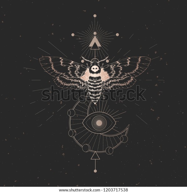 Vector Illustration Hand Drawn Dead Head Stock Vector (Royalty Free ...
