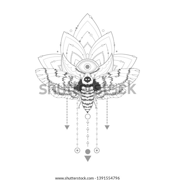 Vector Illustration Hand Drawn Dead Head Stock Vector (Royalty Free ...