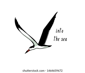 Vector Illustration Hand Drawn Flying Black Stock Vector (Royalty Free ...