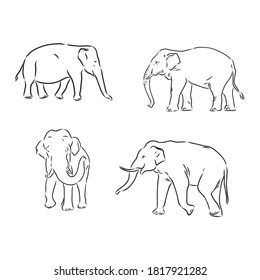 Elephants Walking Together Group Hand Drawn Stock Vector (Royalty Free ...