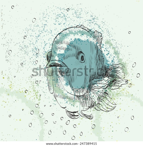 Vector Illustration Hand Drawn Realistic Fish Stock Vector (Royalty ...