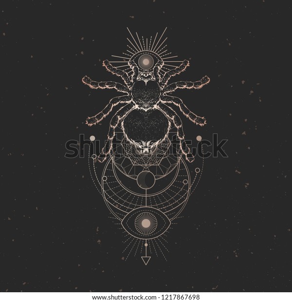 Vector illustration with hand drawn spider and Sacred geometric symbol ...