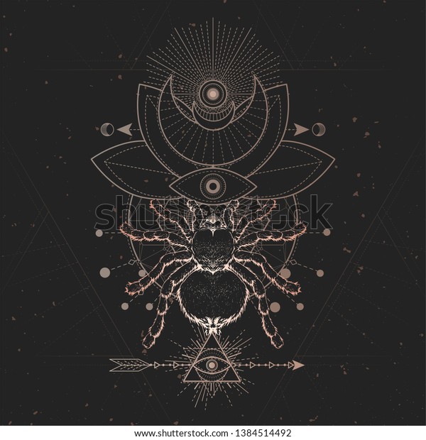 Vector Illustration Hand Drawn Spider Sacred Stock Vector (Royalty Free ...