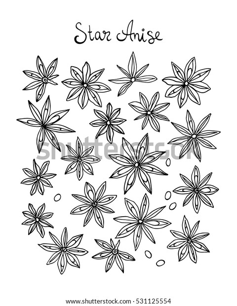 Vector Illustration Hand Drawn Star Anise Stock Vector (Royalty Free ...