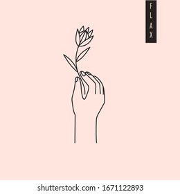 546 Linseed draw Images, Stock Photos & Vectors | Shutterstock