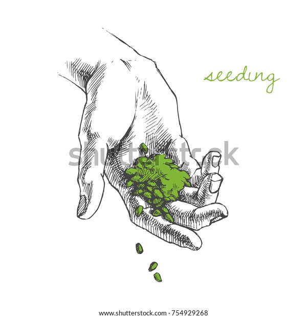 Vector Illustration Hand Planting Seeds Handful Stock Vector (Royalty ...