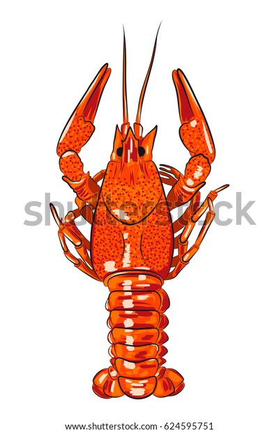 Vector Illustration Handdrawn Realistic Glossy Crawfish Stock Vector ...