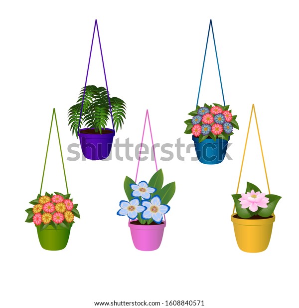 Vector Illustration Hanging Flowers Pots Decor Stock Vector (Royalty ...