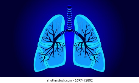 Vector Illustration Healthy Blue Lungs Icon Stock Vector (Royalty Free ...
