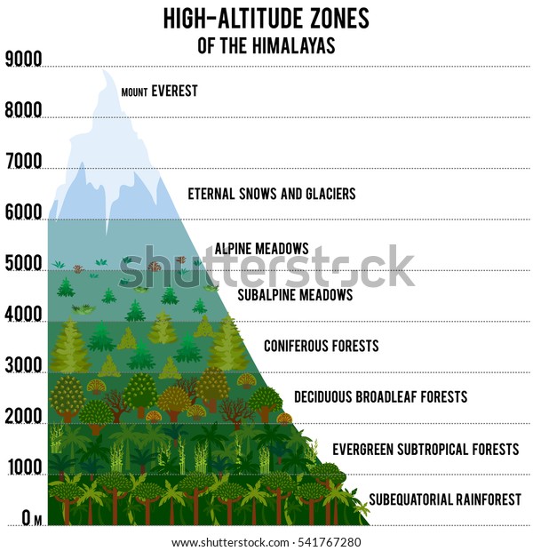 Vector Illustration Highaltitude Zones Himalayas Flat Stock Vector ...