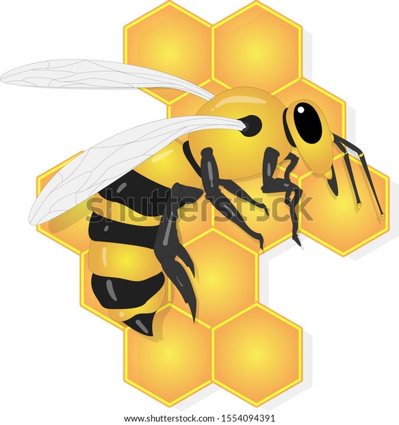 Vector Illustration Honey Bee Honeycomb On Stock Vector (Royalty Free ...