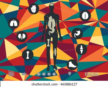 Vector Illustration Human Anatomy Stock Vector (Royalty Free) 465886127 ...