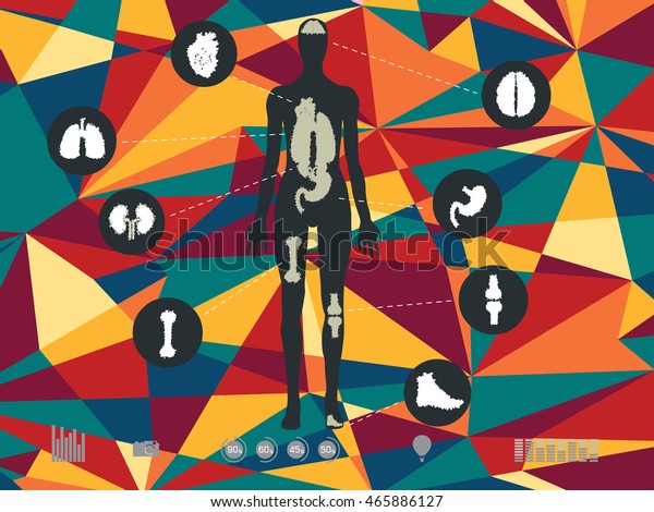 Vector Illustration Human Anatomy Stock Vector (Royalty Free) 465886127 ...