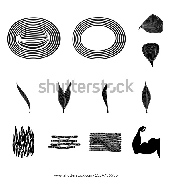Vector Illustration Human Body Logo Collection Stock Vector (Royalty ...