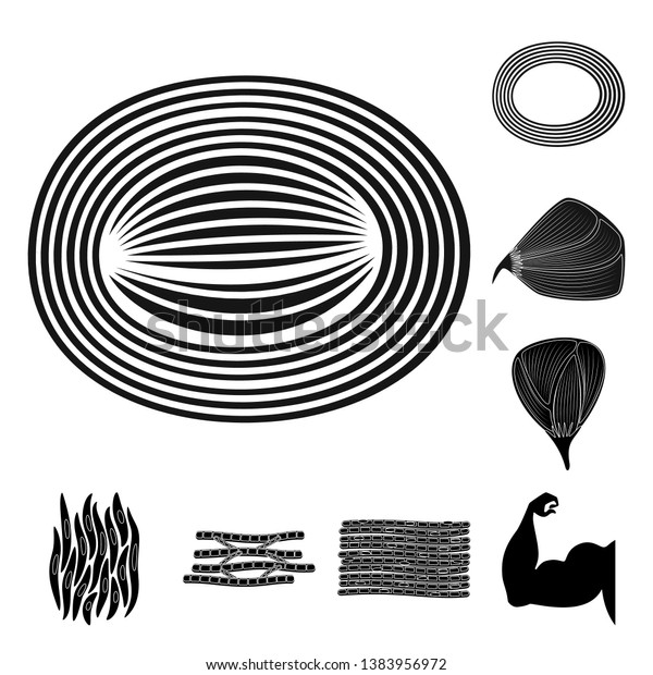 Vector Illustration Human Body Logo Collection Stock Vector (Royalty ...