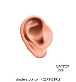 Human ear .ai Royalty Free Stock Vector Clip Art