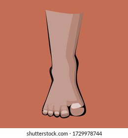 Vector Illustration Human Foot Stock Vector (Royalty Free) 1729978744 ...