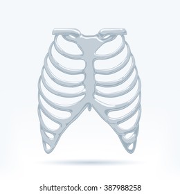 Vector Illustration Human Thorax Stock Vector (Royalty Free) 387988258 ...