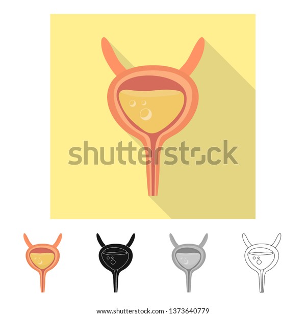 Vector Illustration Incontinence Bladder Sign Set Stock Vector (Royalty ...
