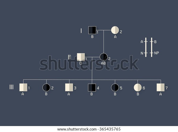 Vector Illustration Inheritance Stock Vector (Royalty Free) 365435765 ...