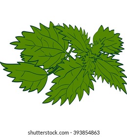 Vector Illustration Isolated Nettle Leaves Monochrome Stock Vector ...